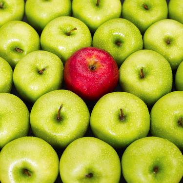 Kontraste für mehr Übersichtlichkeit I smavicon